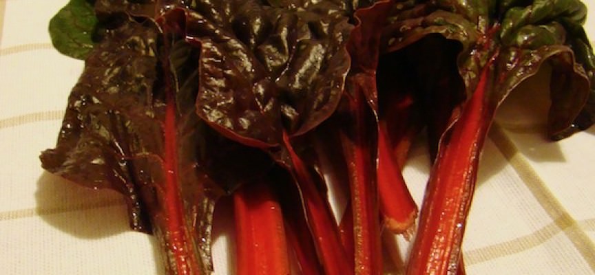 Bieta rossa di Lusia, l'ortaggio veneto che piace al Giappone ...
